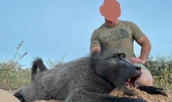 Baboon Hunting in South Africa | Baboon Hunts