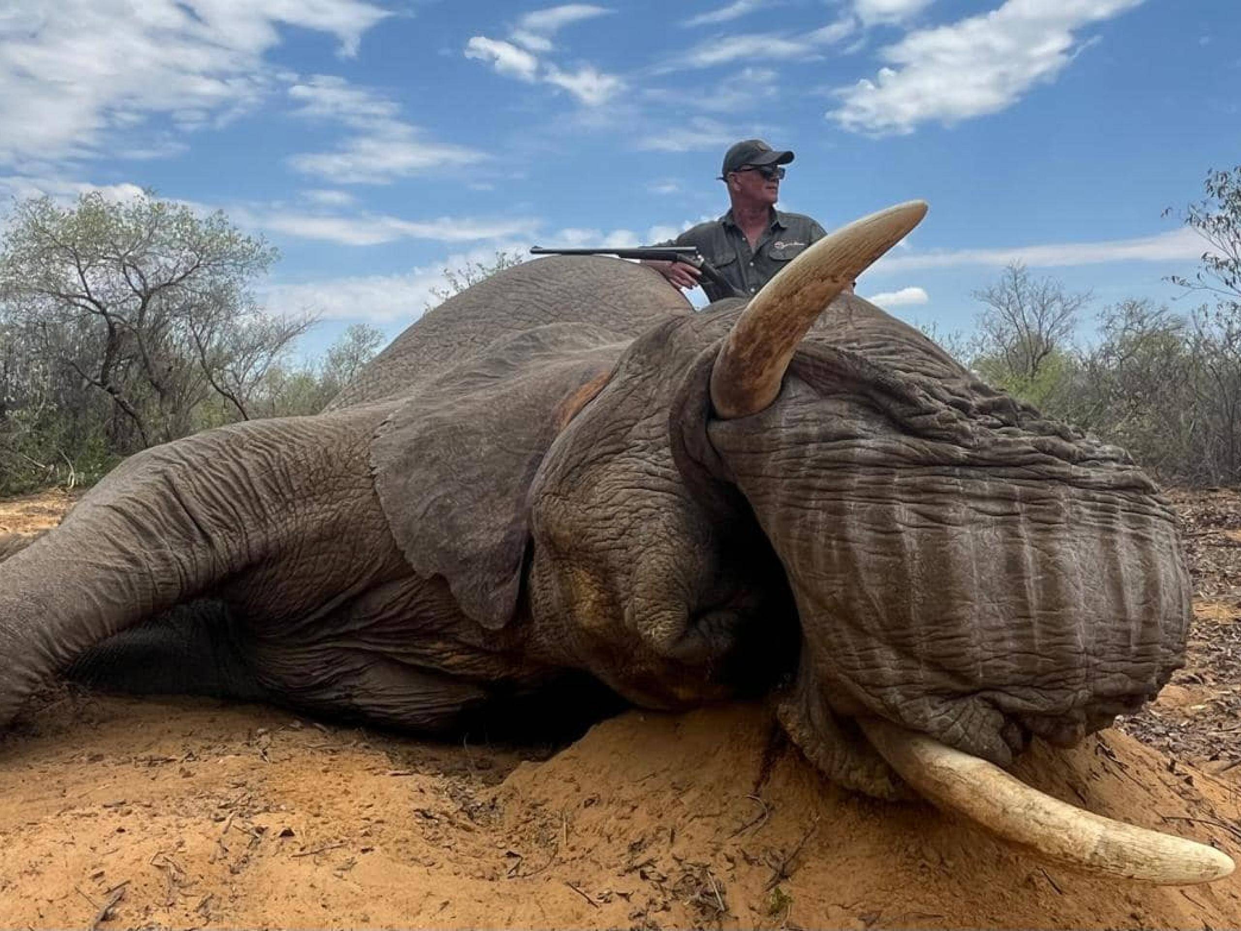 African Hunting Safari Costs & Planning Guide